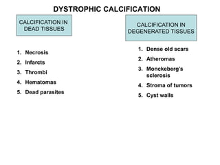 Cell injury: Pathologic calcification and Cell aging | PPTX