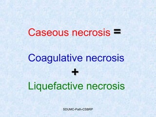 Caseous Necrosis Vs Liquefactive Necrosis
