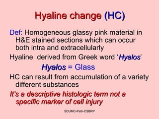 Cell injuryadaptation 6 | PPT