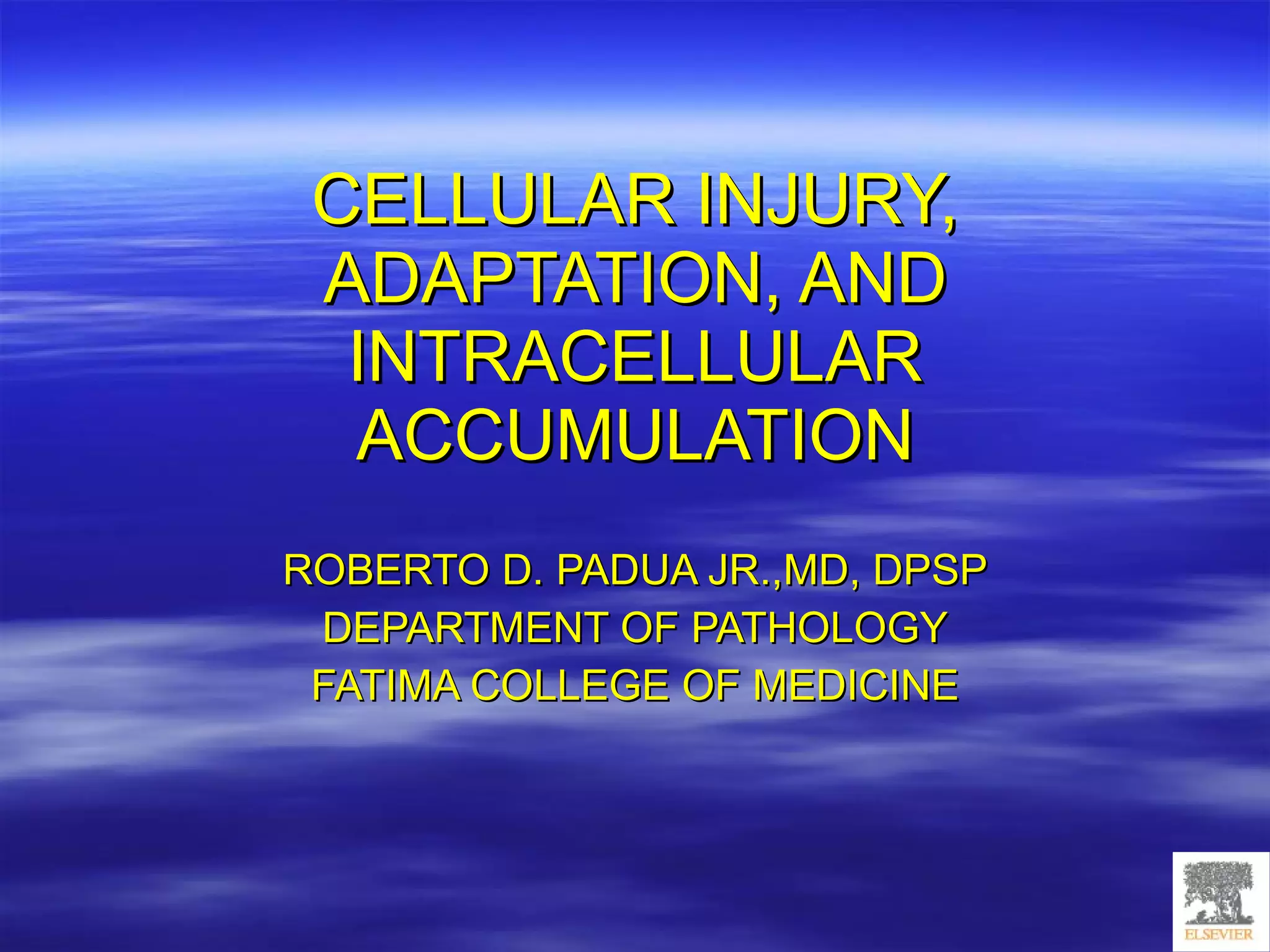 Cell Injury, Adaptation And Accumulations | PPT