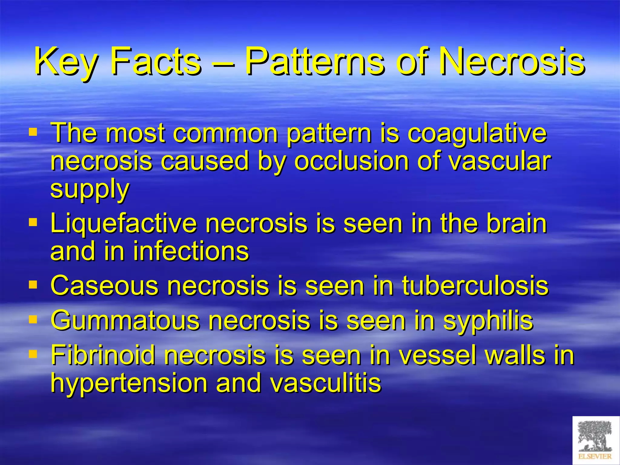 Cell Injury, Adaptation And Accumulations | PPT