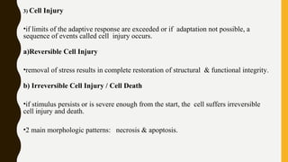 Cell injury and adaptation.pptx
