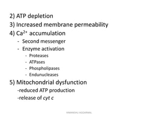 Cell injury and adaptation.pdf