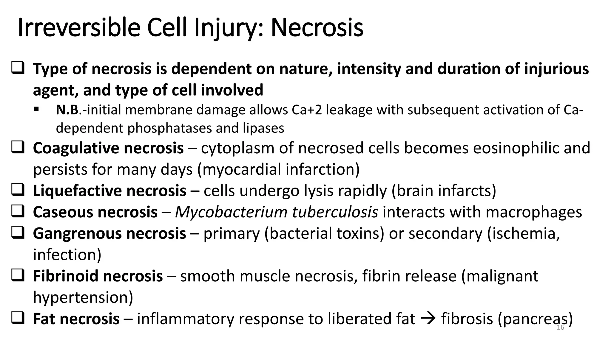 Cell Injury and Cell Death | PDF
