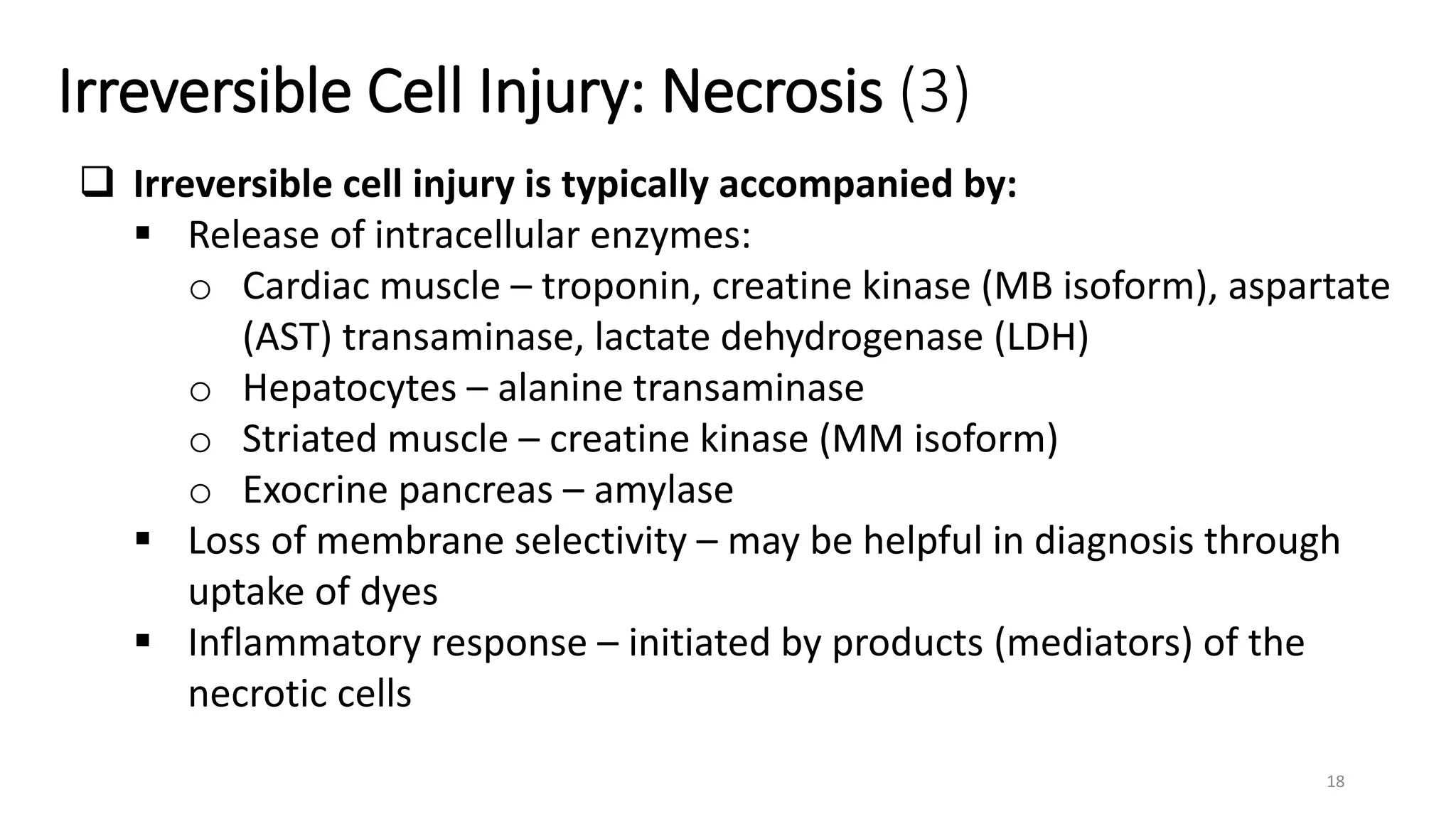 Cell Injury and Cell Death | PDF