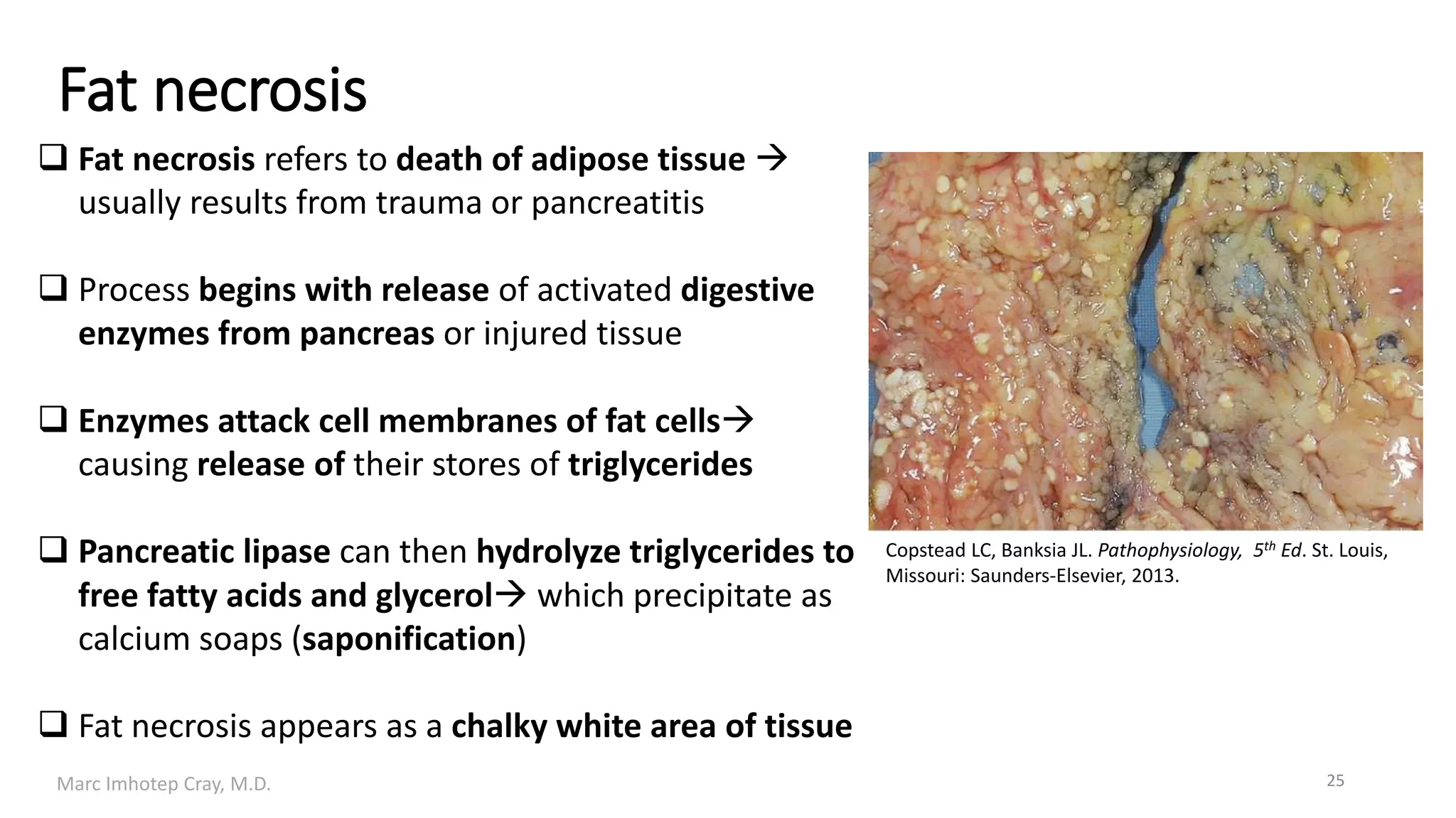 Cell Injury and Cell Death | PDF