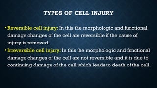 pathology - CELL INJURY AND CELL DEATH.pptx