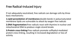 Cell injury and cell death2 | PPTX