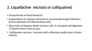 Cell injury and cell death2 | PPT