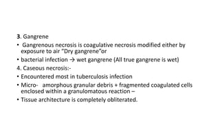 Cell injury and cell death2 | PPTX
