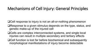 Cell injury and cell death2 | PPT