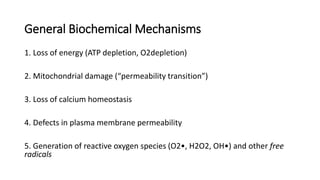Cell injury and cell death2 | PPTX