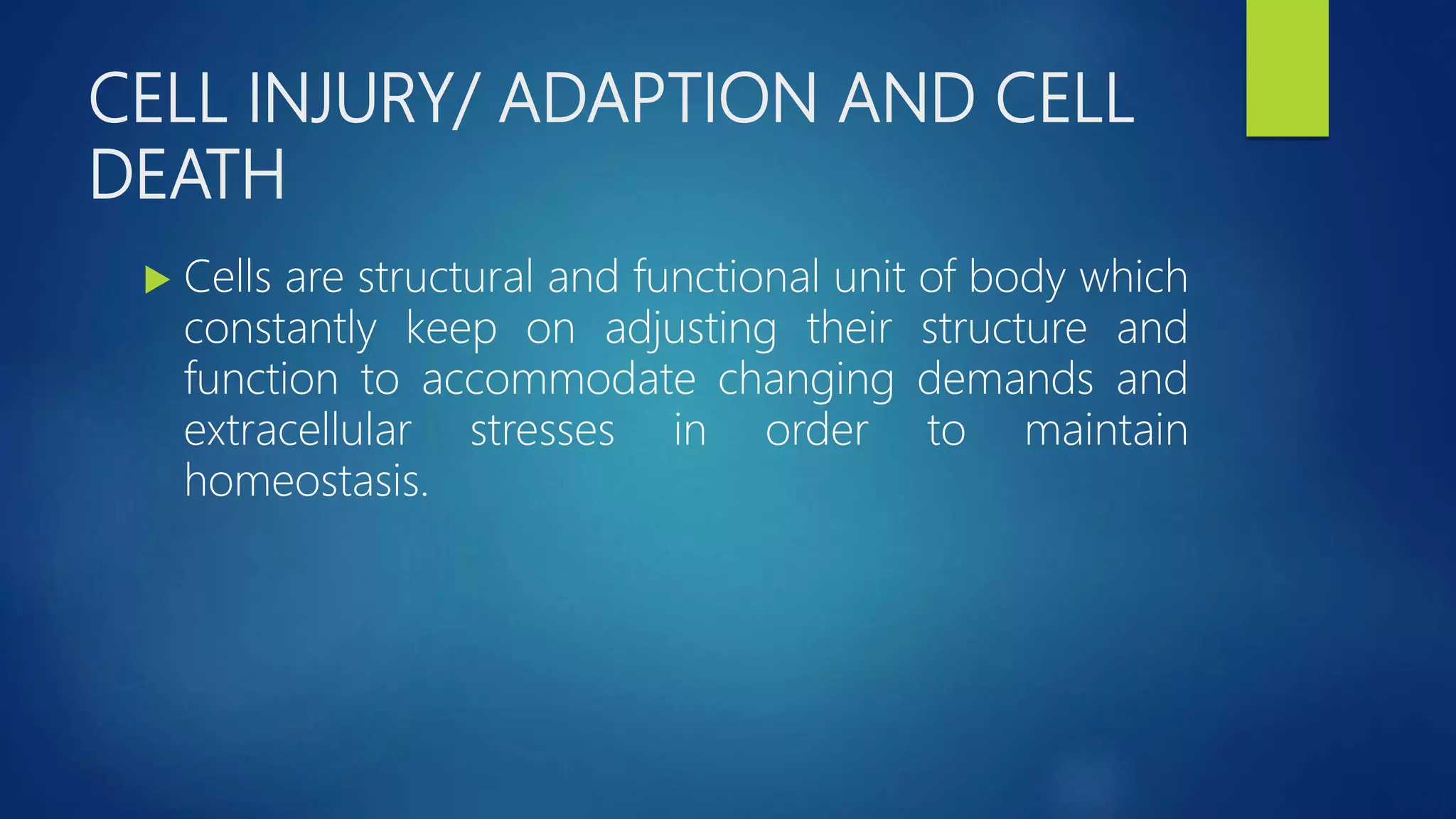 Cell injury and hypertrophy | PPTX