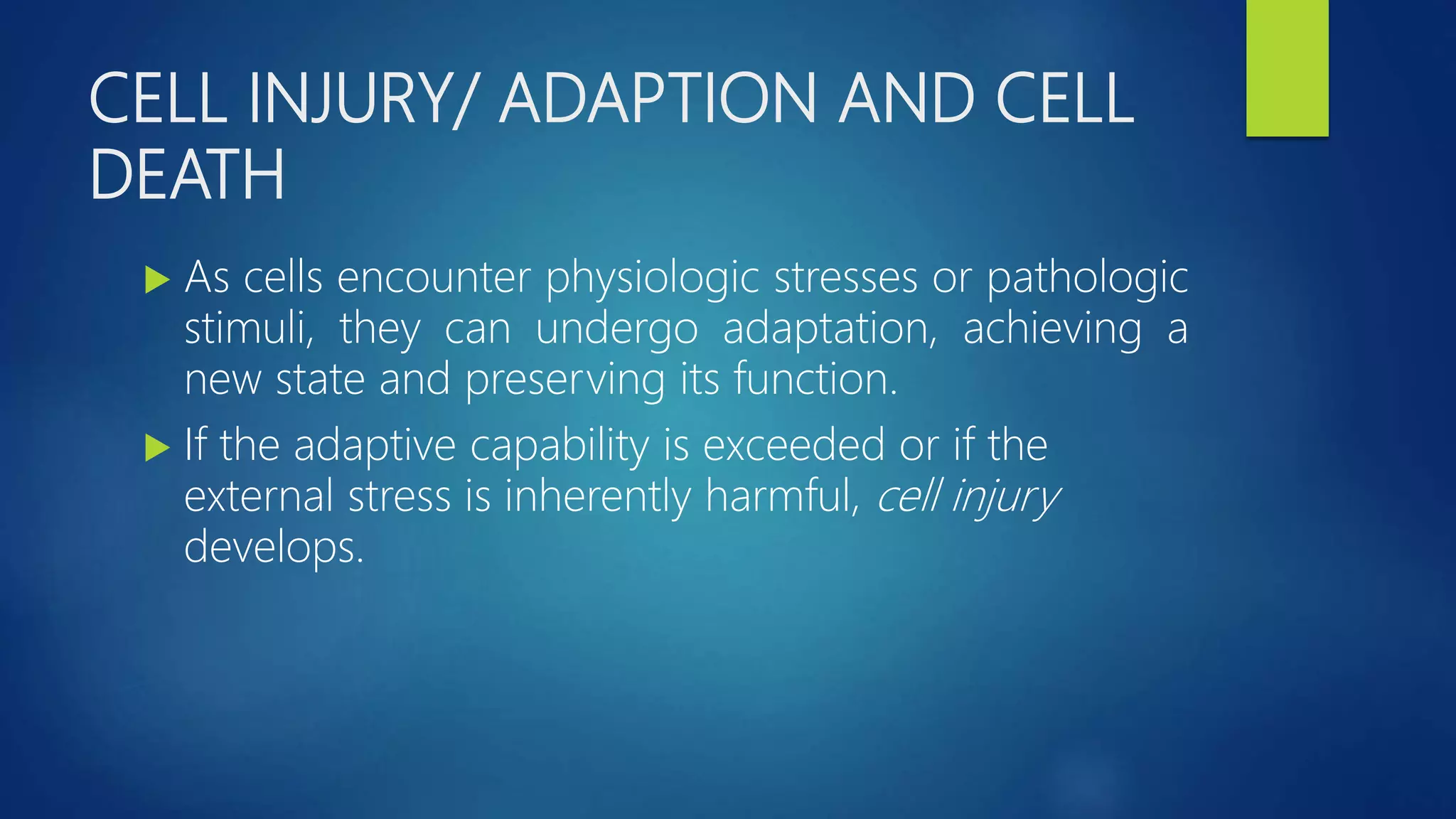 Cell injury and hypertrophy | PPTX