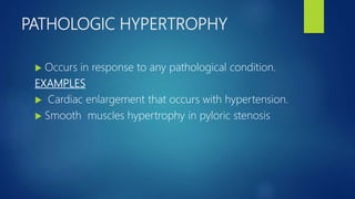 Cell injury and hypertrophy | PPTX