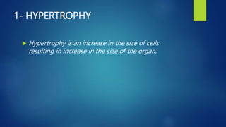 cellinjuryandhypertrophy pathology .pptx
