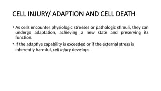 cellinjuryandhypertrophy76876575476546.pptx