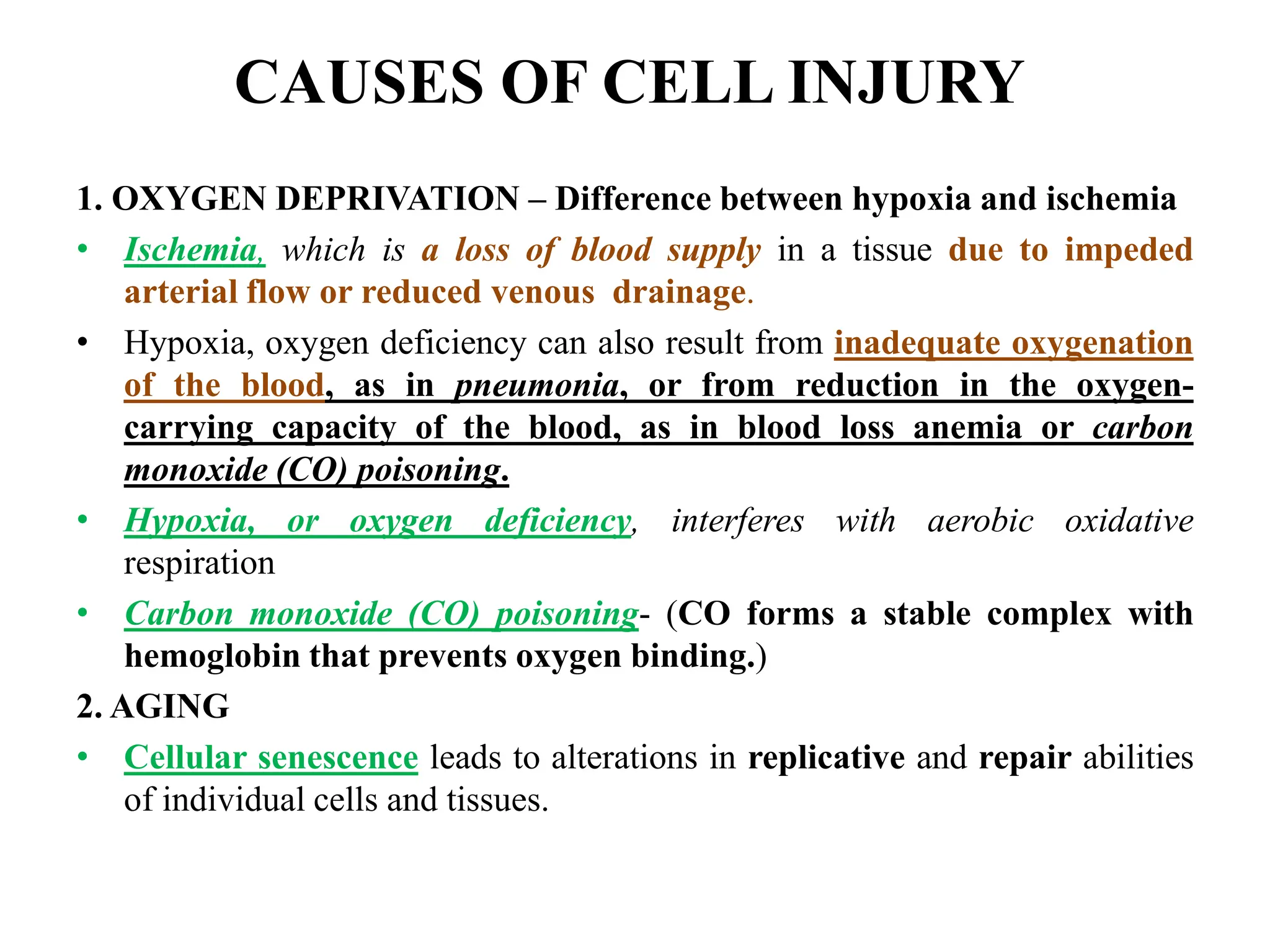 cell injury and necrosis mechanism Pathology.ppt