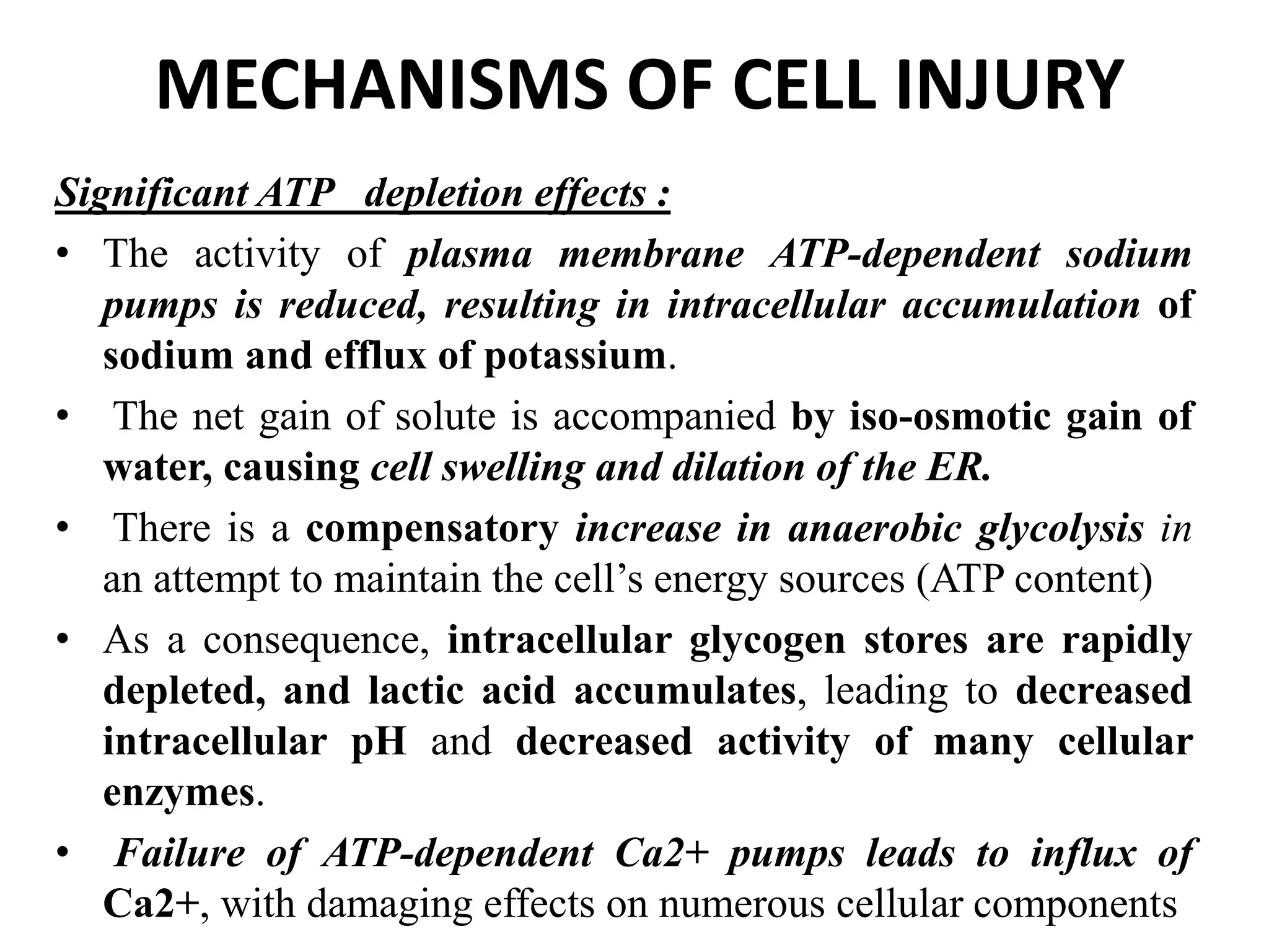 cell injury and necrosis mechanism Pathology.ppt