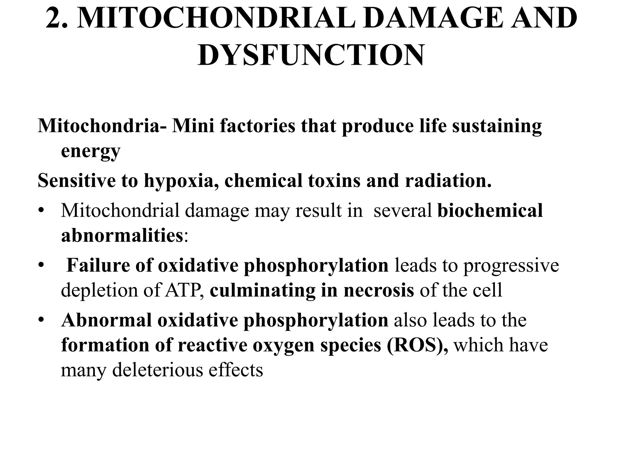 cell injury and necrosis mechanism Pathology.ppt