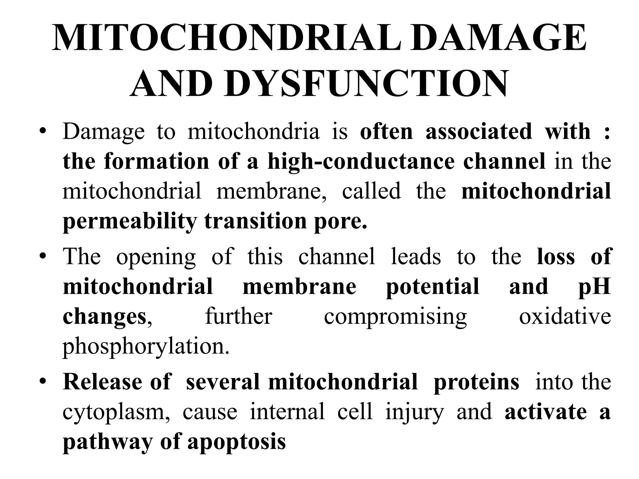 cell injury and necrosis mechanism Pathology.ppt