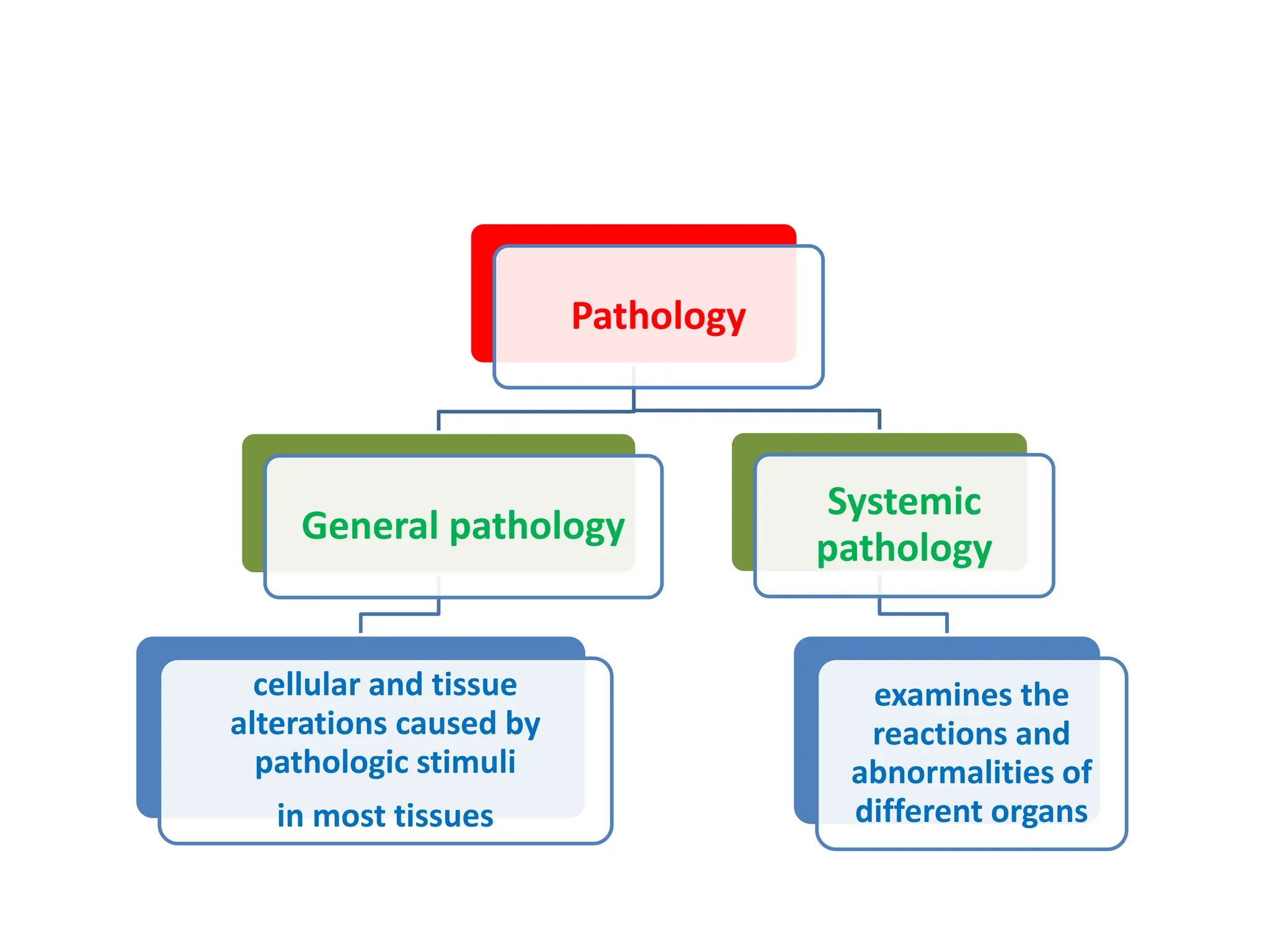 cell injury and necrosis mechanism Pathology.ppt
