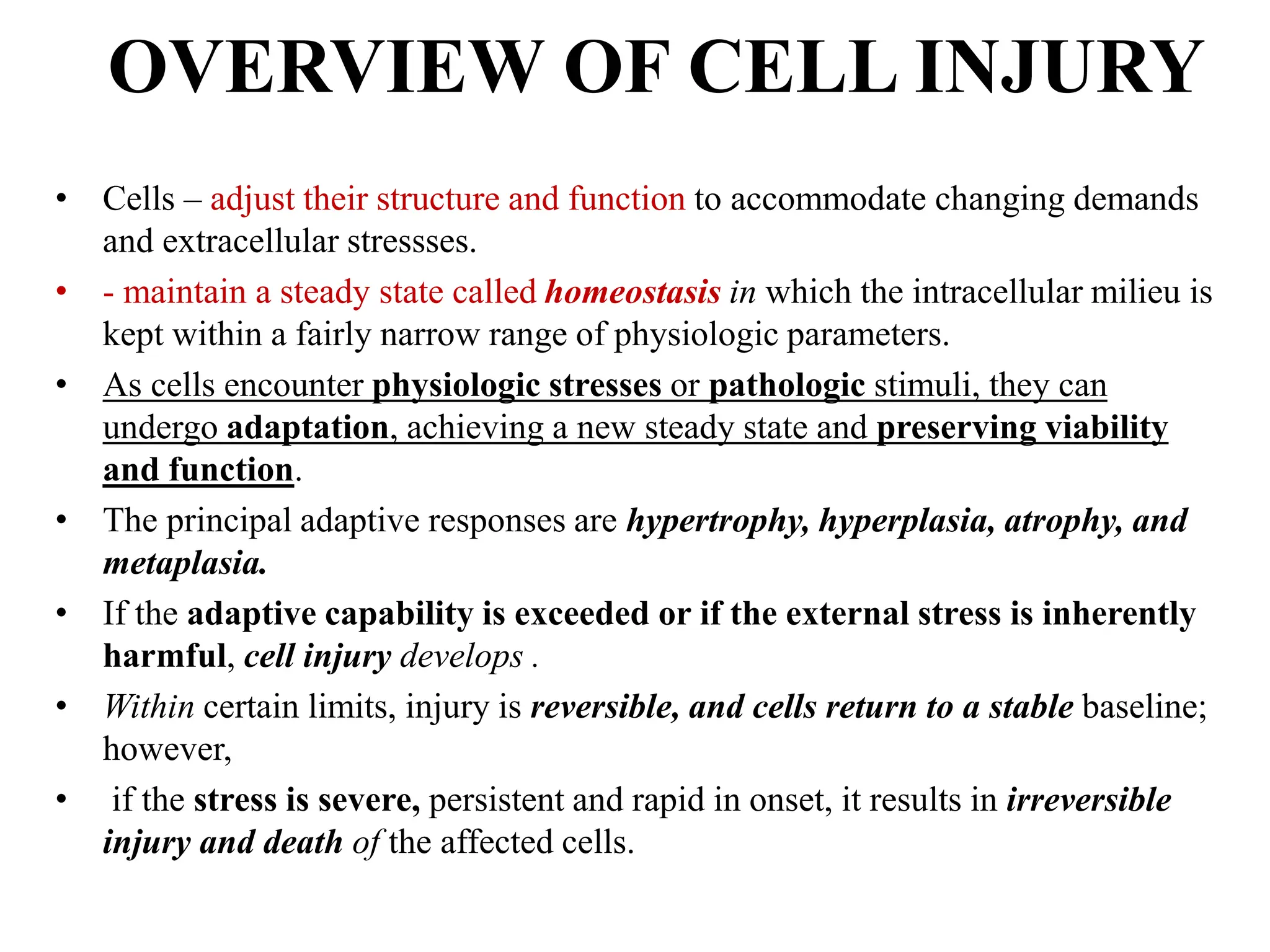 cell injury and necrosis mechanism Pathology.ppt