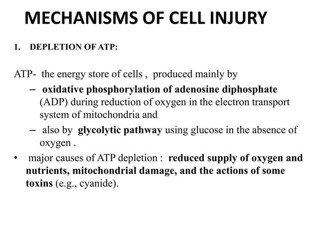 cell injury and necrosis mechanism Pathology.ppt