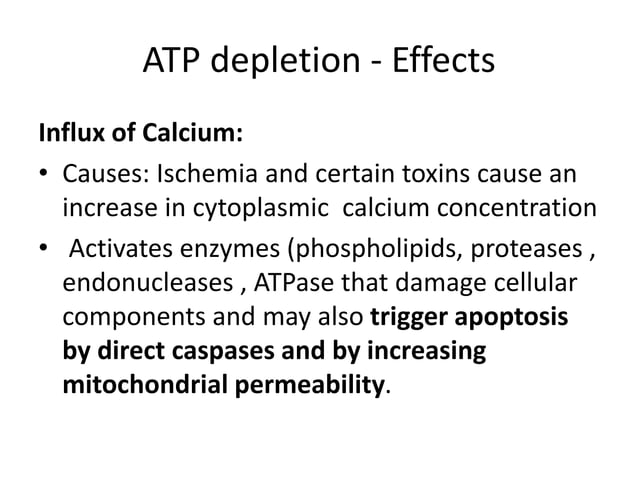 cell injury and necrosis mechanism Pathology.ppt