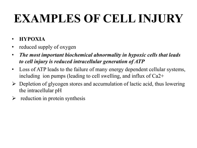 cell injury and necrosis mechanism Pathology.ppt