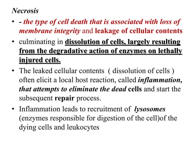 cell injury and necrosis mechanism Pathology.ppt