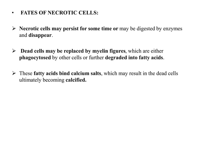 cell injury and necrosis mechanism Pathology.ppt