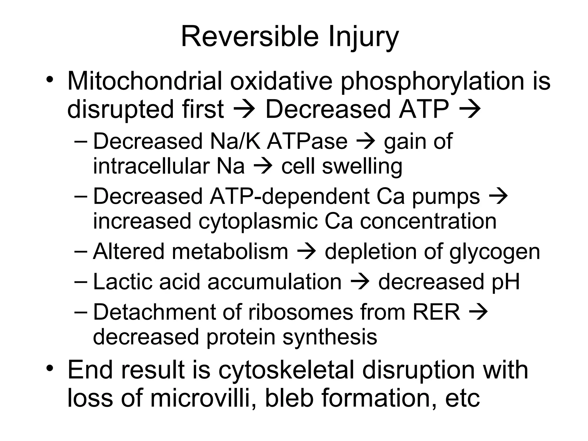 Cell injury, apotosis and necrosis(1) | PPT