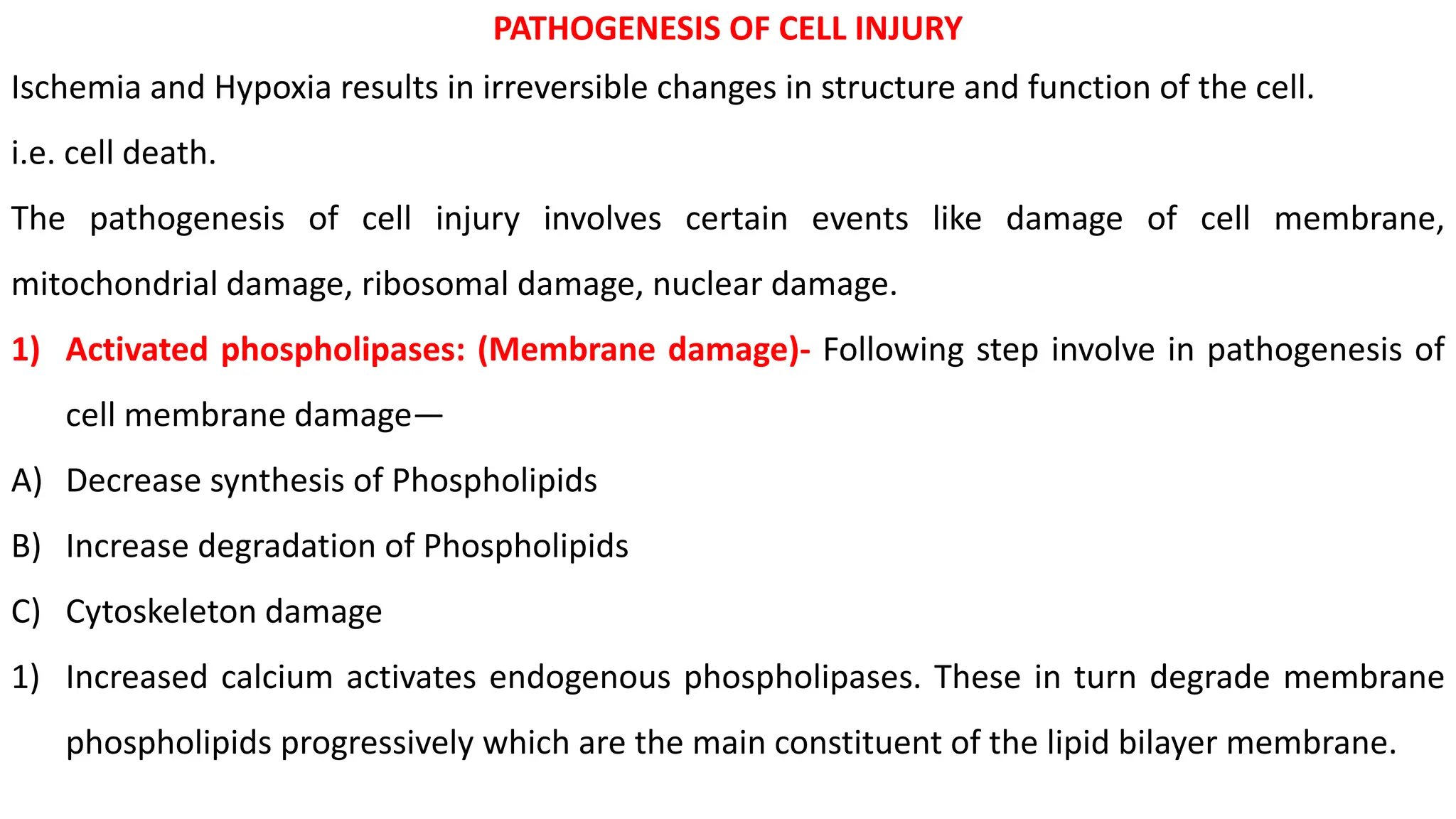 Cell injury bkg.pptx Bulet kumar gupta Pathophysiology | PPTX