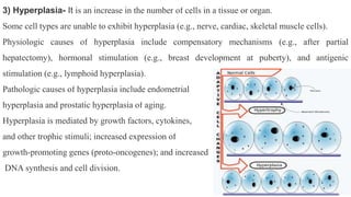 Cell injury bkg.pptx Bulet kumar gupta Pathophysiology | PPTX ...