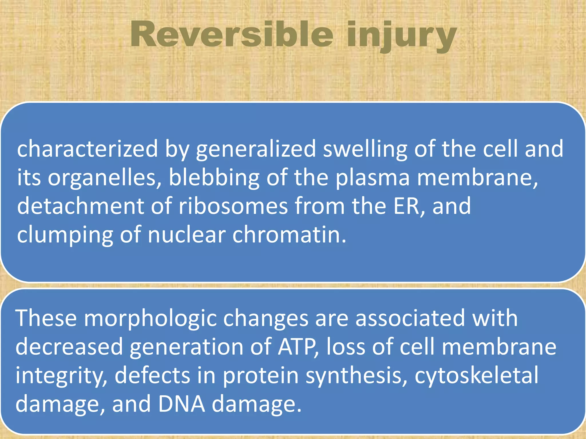 Cell injury causes and overview of cell injury and cell death lect 4 ...