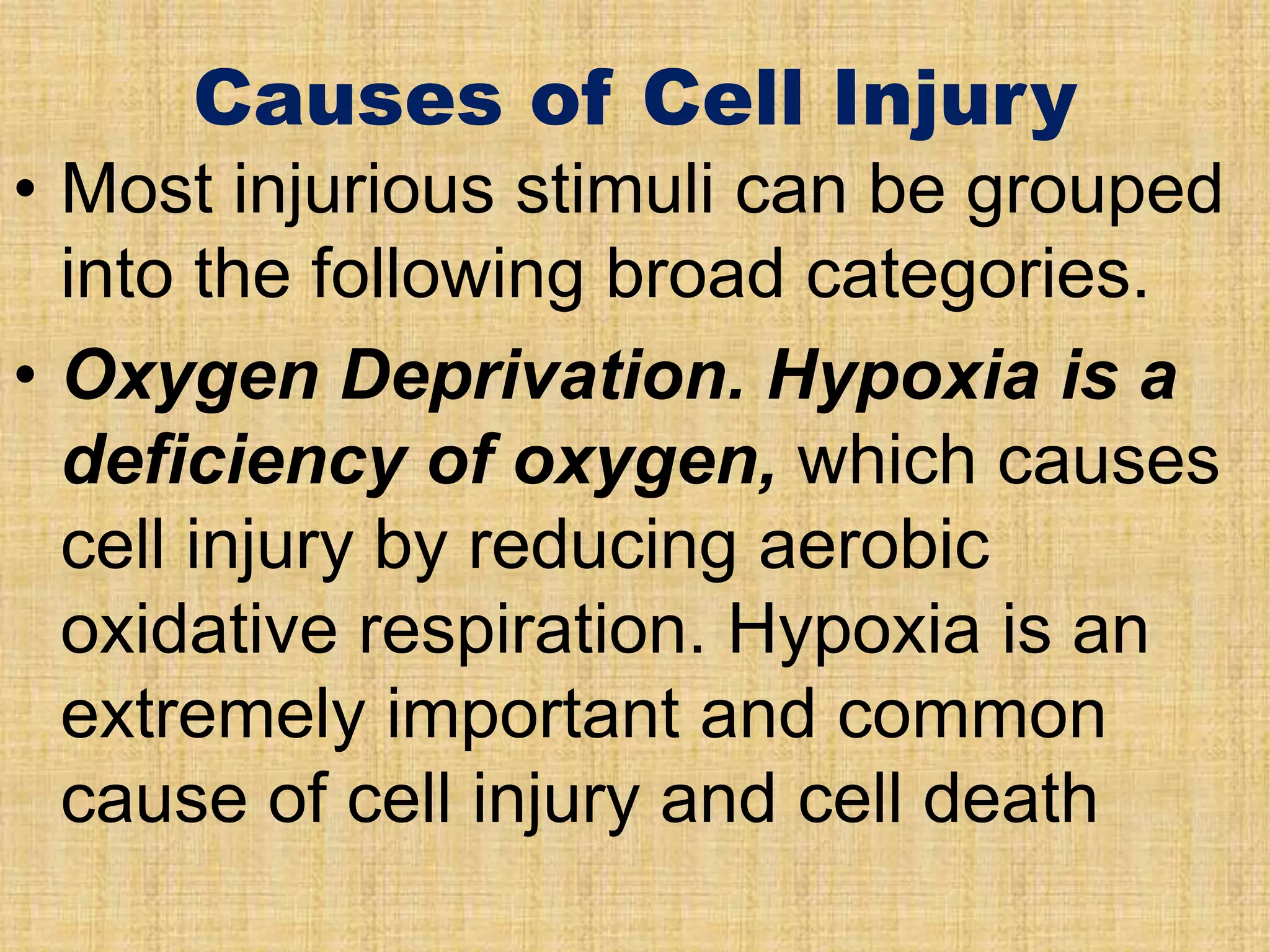 Cell injury causes and overview of cell injury and cell death lect 4 ...