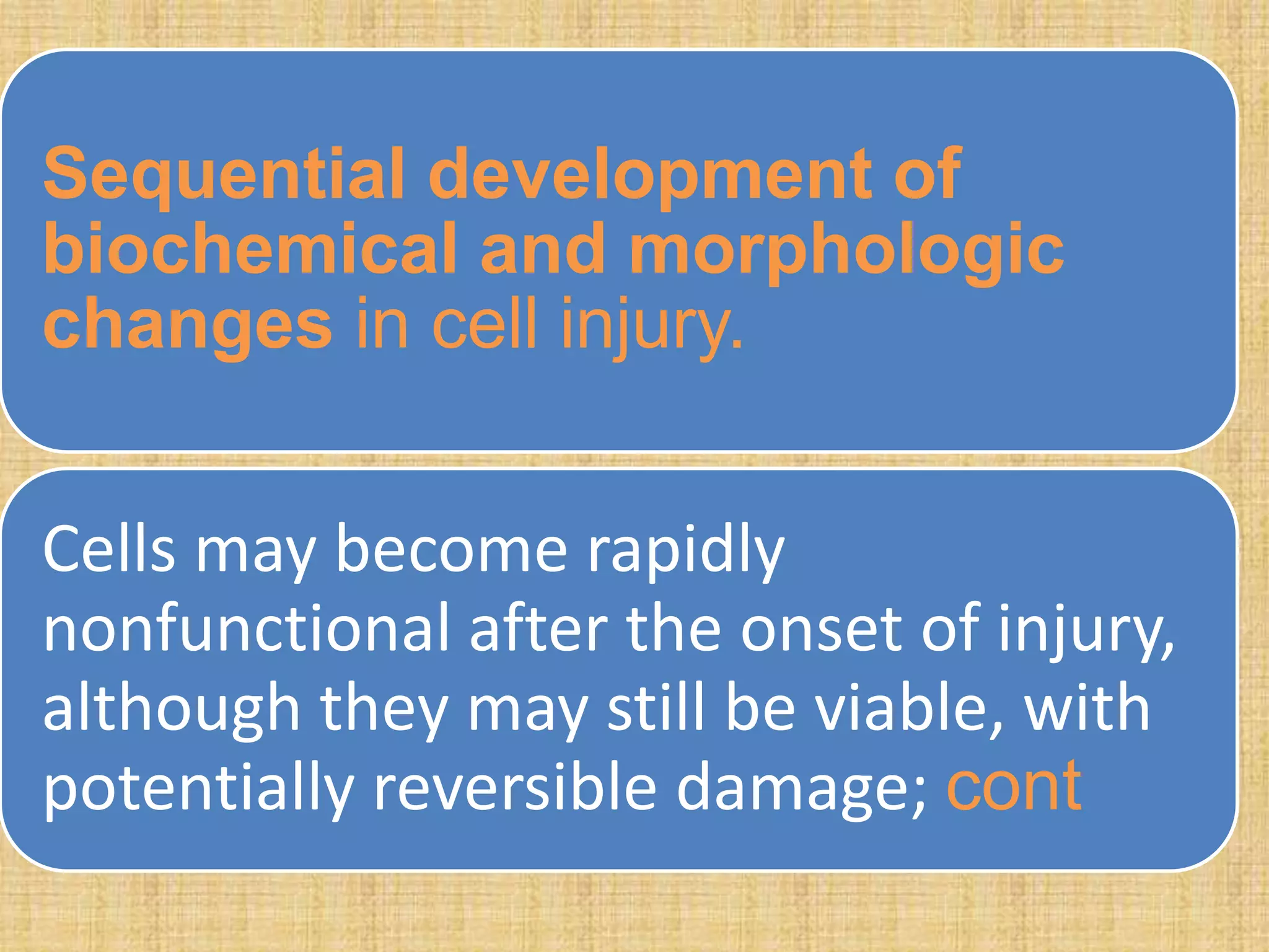Cell injury causes and overview of cell injury and cell death lect 4 ...