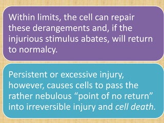 Cell injury causes and overview of cell injury and cell death lect 4 ...