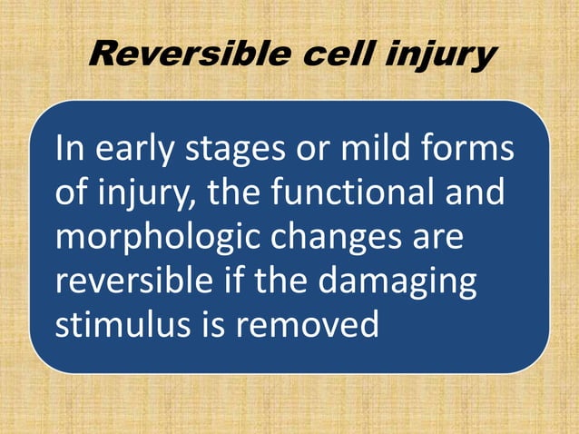 Cell injury causes and overview of cell injury and cell death lect 4 ...