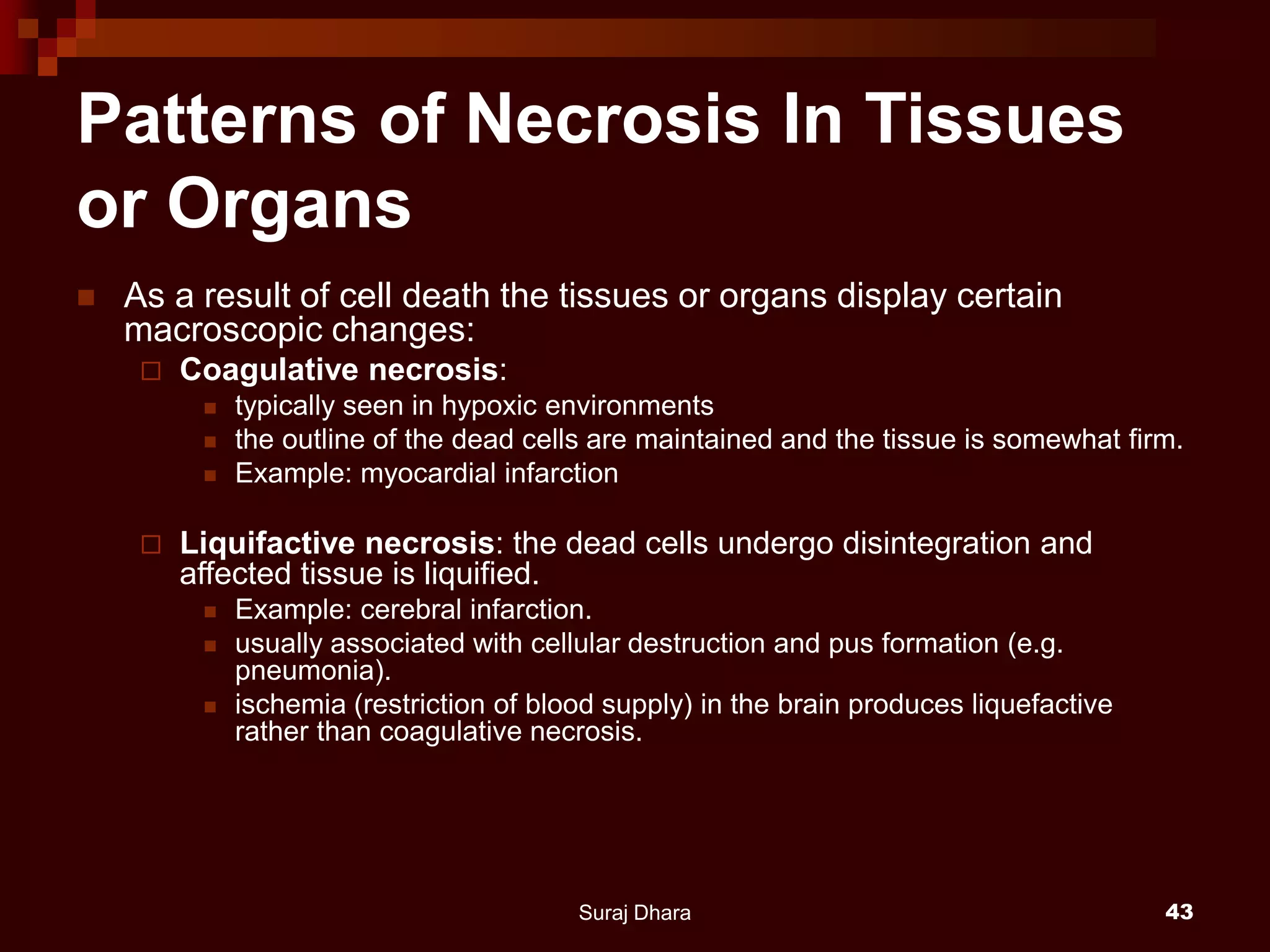 Cell injury & Cell death | PPTX