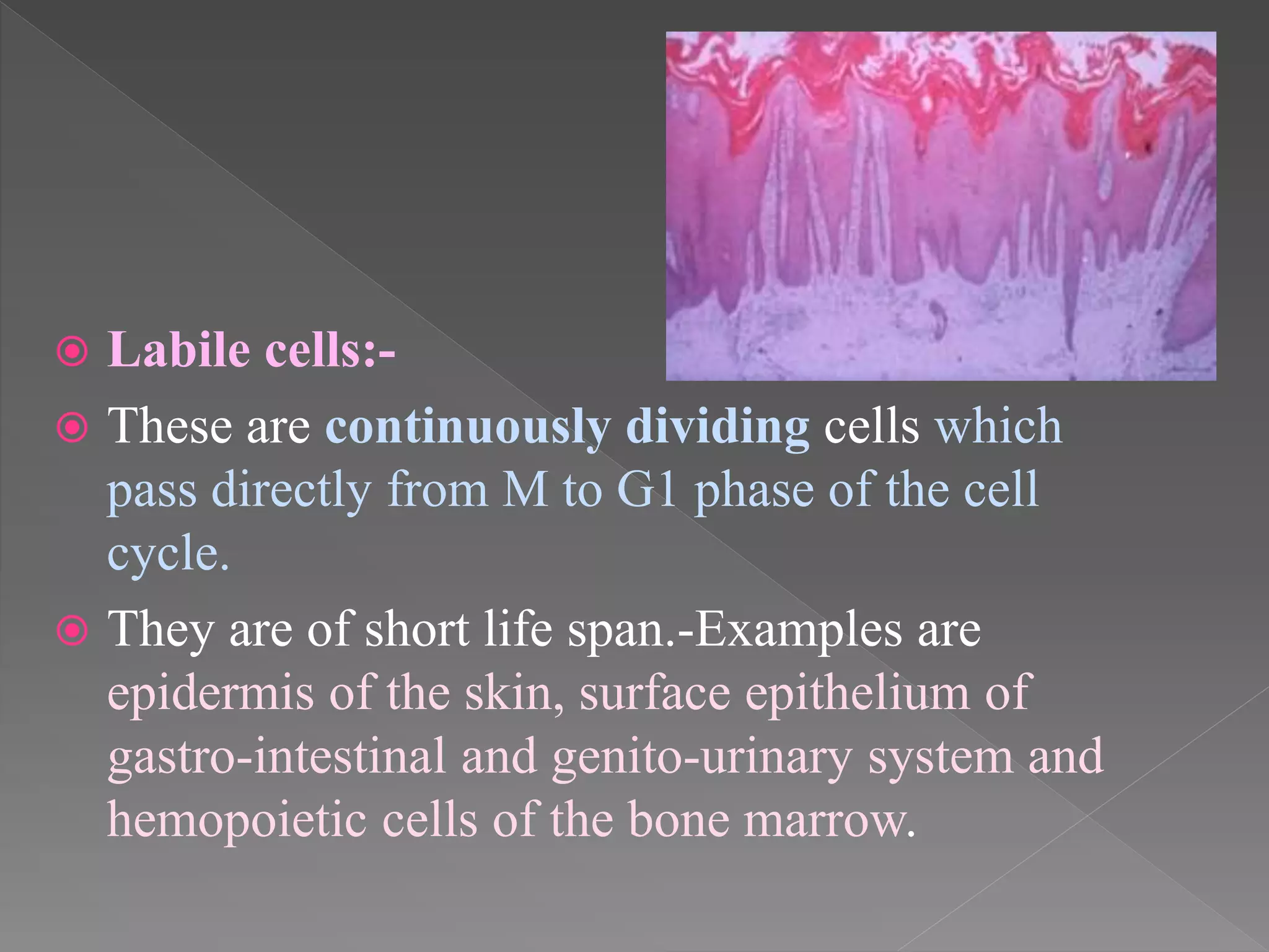 Cell injury – cell injury and cell death | PPTX