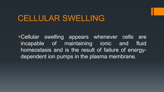 Cell injury cell swelling necrosis fatty change | PPTX