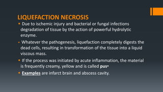 Cell injury cell swelling necrosis fatty change | PPTX