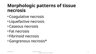 Histopathology: Cell injury, death and adaptation lecture-1 | PPTX