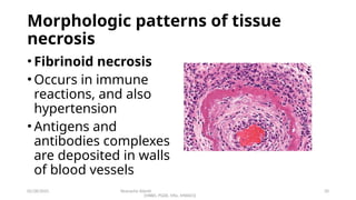 Histopathology: Cell injury, death and adaptation lecture-1 | PPTX