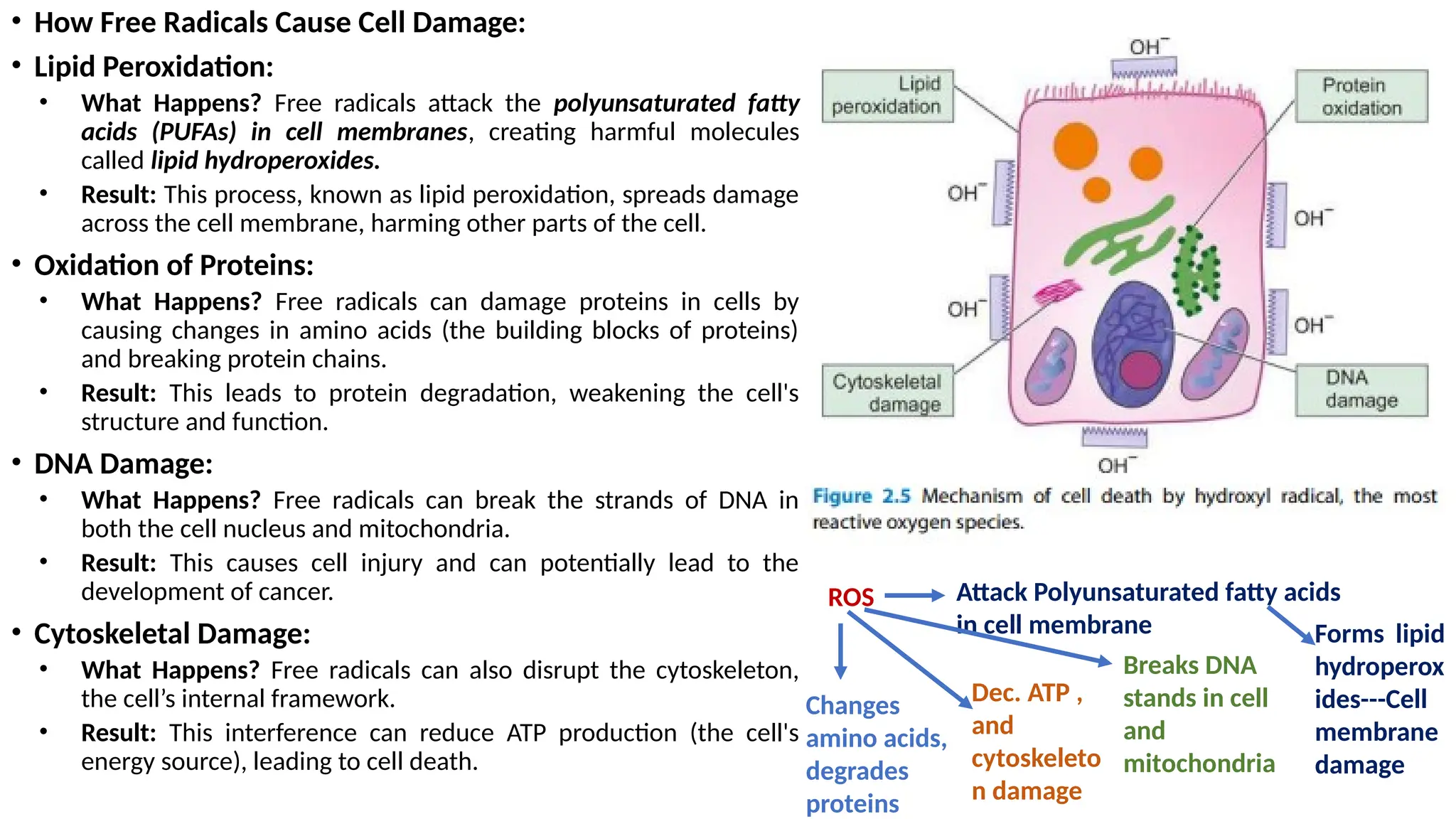 Cell_Injury_etiology and Pathophysiology.pptx