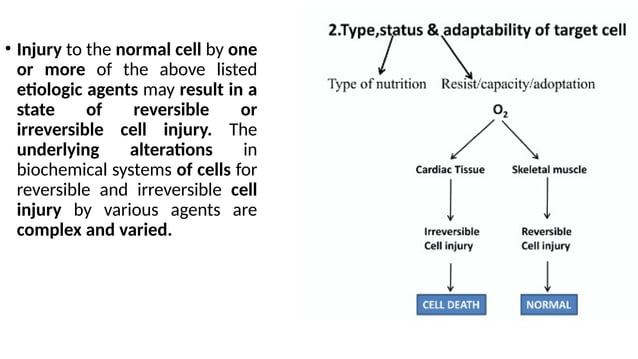 Cell_Injury_etiology and Pathophysiology.pptx