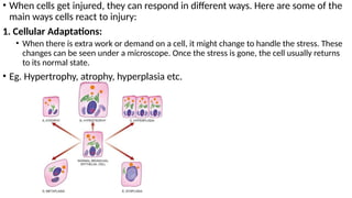 Cell_Injury_etiology and Pathophysiology.pptx