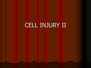 CELL INJURY II.ppt